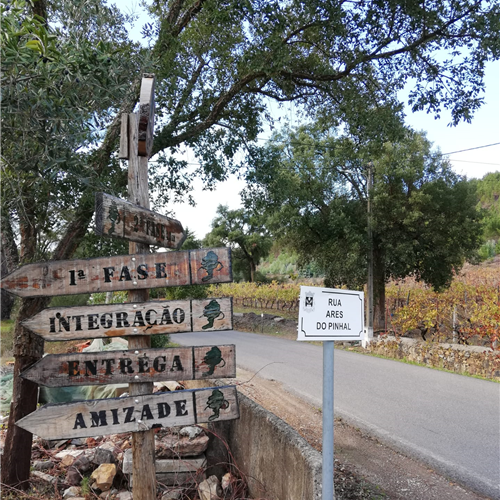 Comunidades Terapêuticas - Compro no Ribatejo